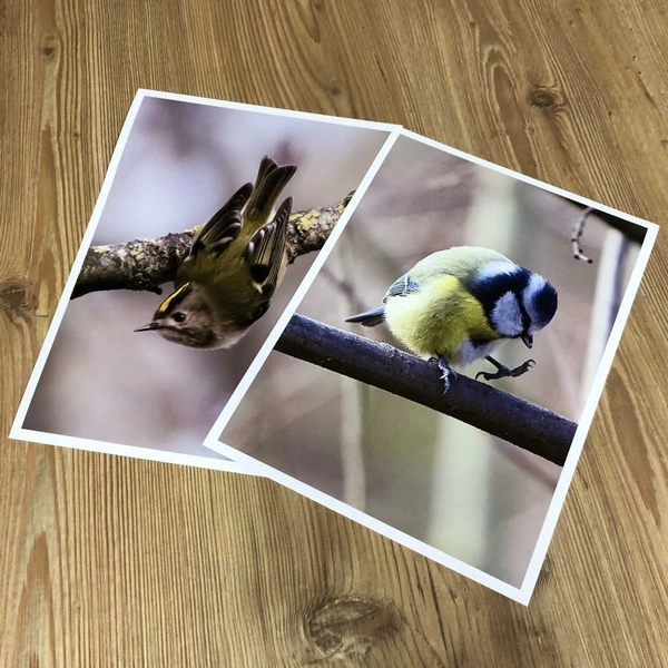Inkjet Art Prints | First Paige Printers